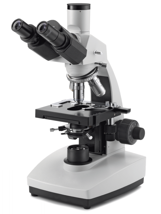Phase contrast microscopes | LIFE SCIENCE LABS - Euromex