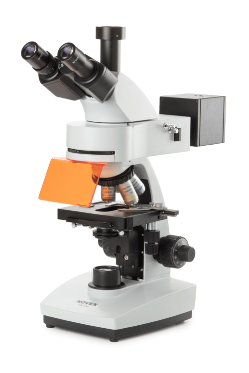 Fluorescence microscopes | LIFE SCIENCE LABS - Euromex